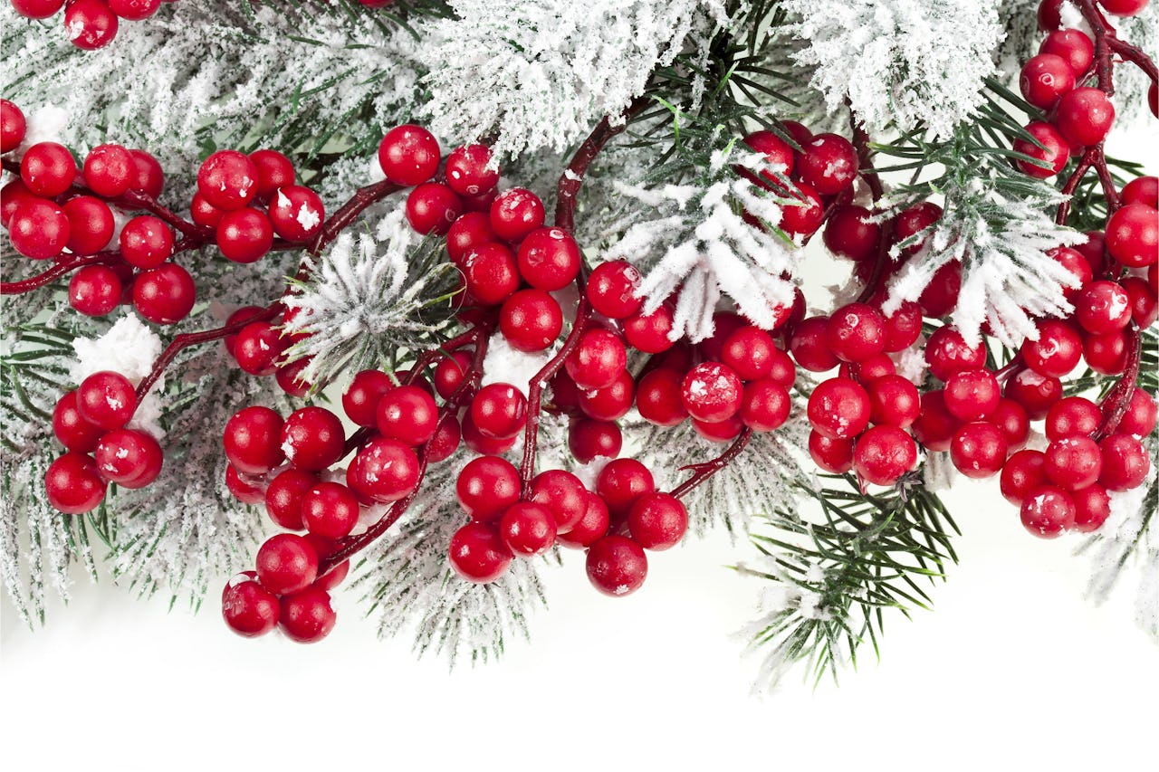 The Holly and the Ivy – Christmas HQ